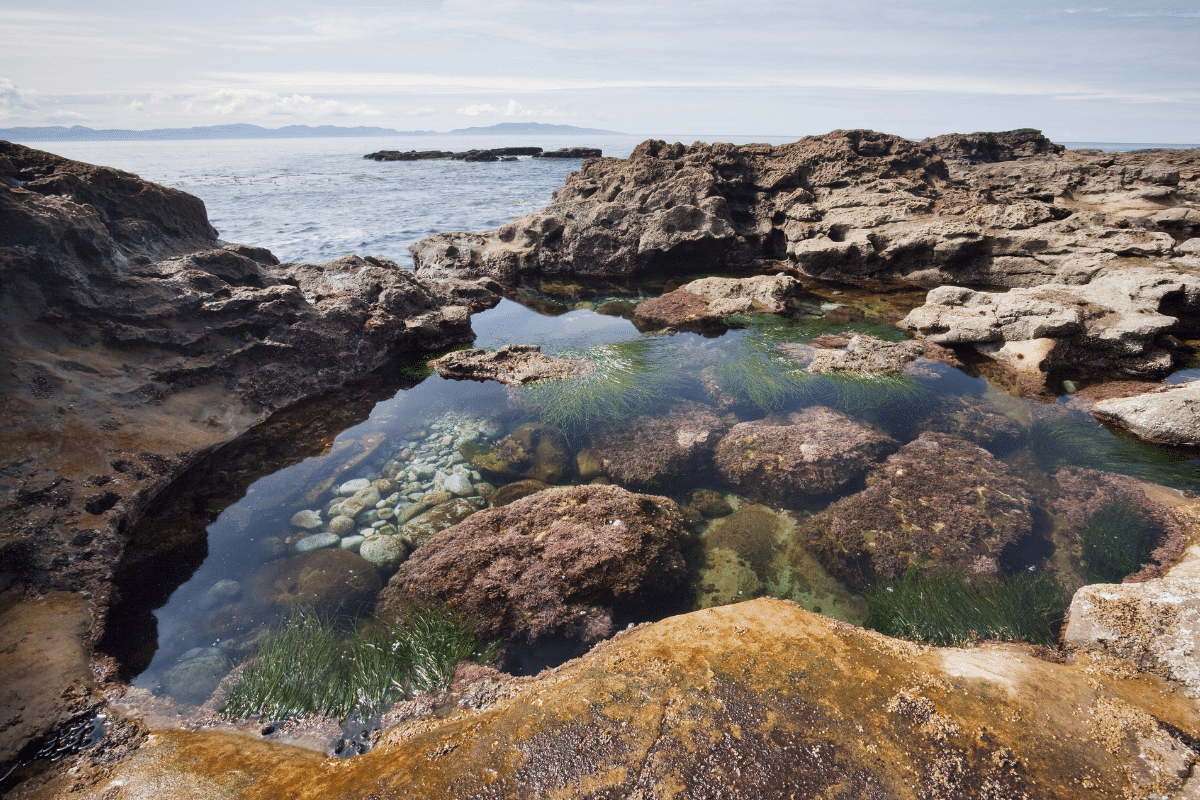 Local Attractions in Sooke | True Key Vacations